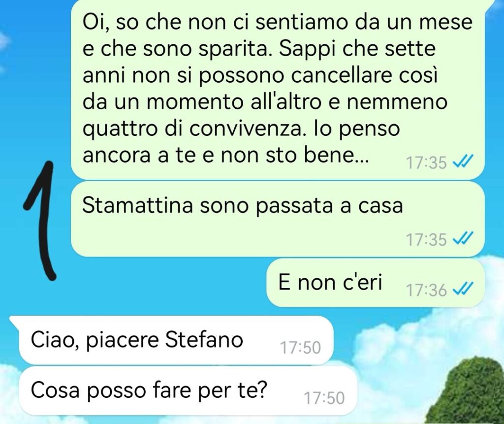 La decisione del mio compagno - SpunteBluSpunteBlu