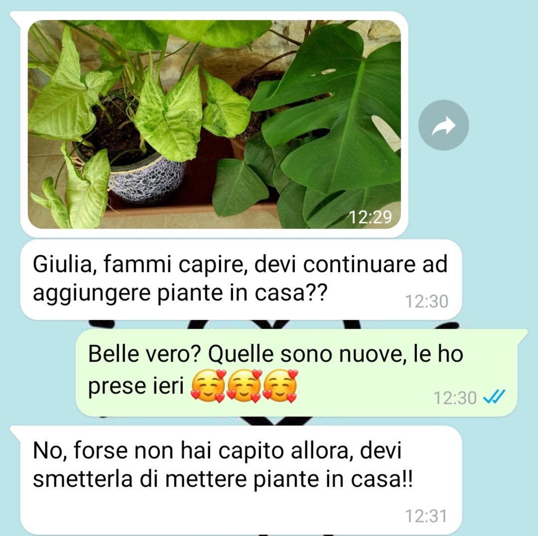 “Botanofobia” – La fobia delle piante - SpunteBluSpunteBlu